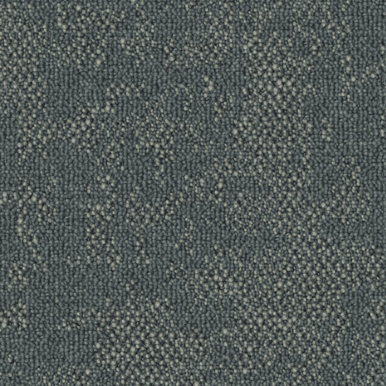 Curious Path - Onehunga Carpets & Rugs