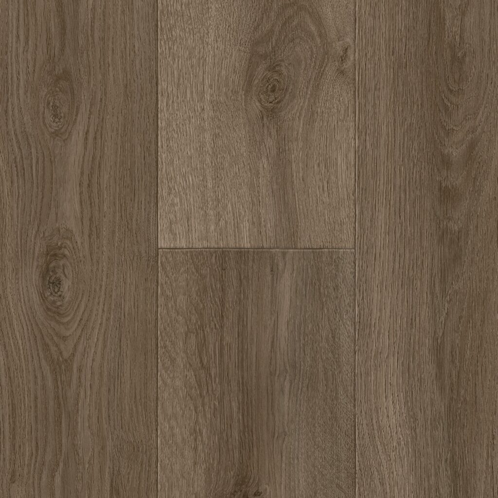 Stellar - Onehunga Carpets & Rugs