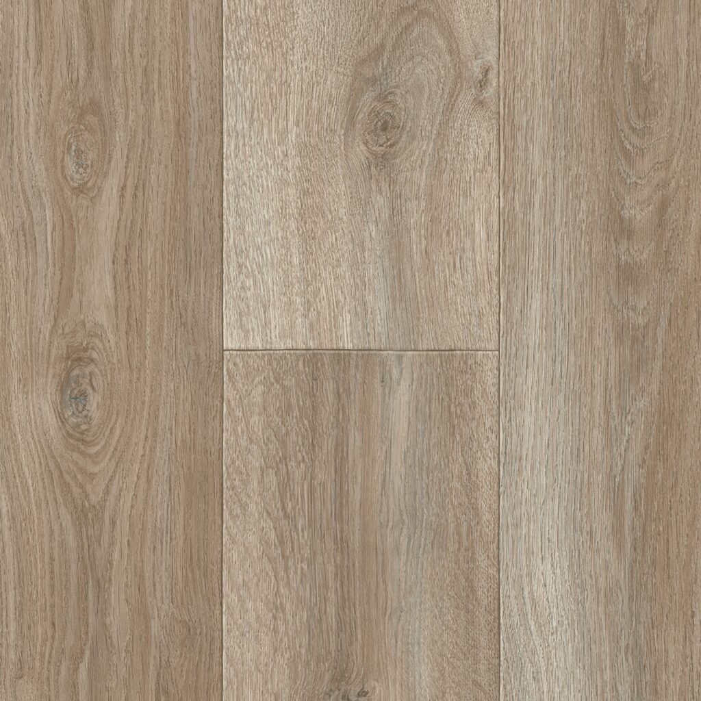 Stellar - Onehunga Carpets & Rugs