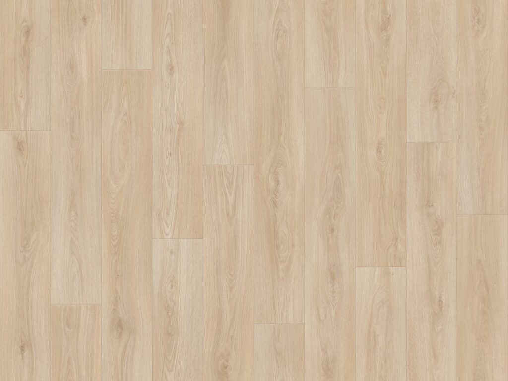Stellar - Onehunga Carpets & Rugs