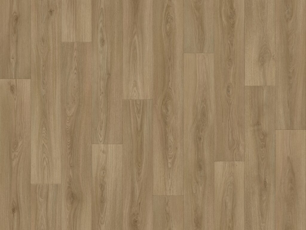 Stellar - Onehunga Carpets & Rugs
