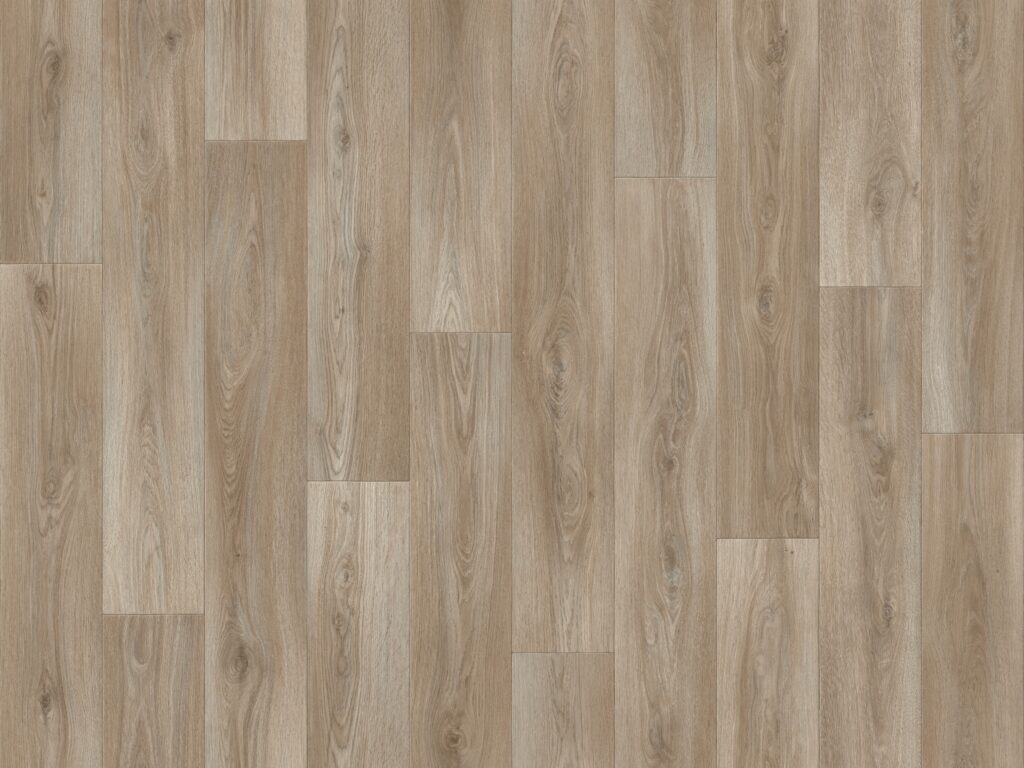 Stellar - Onehunga Carpets & Rugs